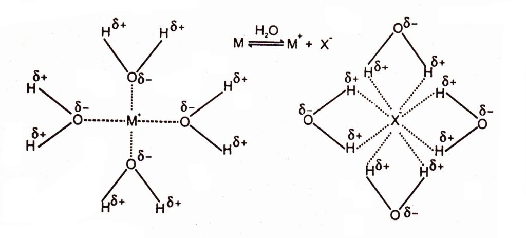 Ion-Dipole Intermolecular Forces | Chemistry Skills