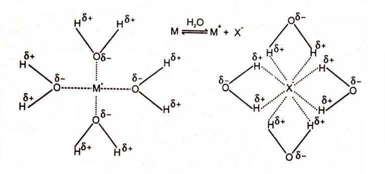 Ion-Dipole Intermolecular Forces | Chemistry Skills