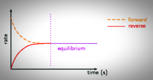 State Of Dynamic Equilibrium | Chemistry Skills
