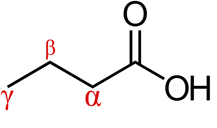 Alpha (α), Beta (β), Gamma (γ) Carbon Atoms | Chemistry Skills